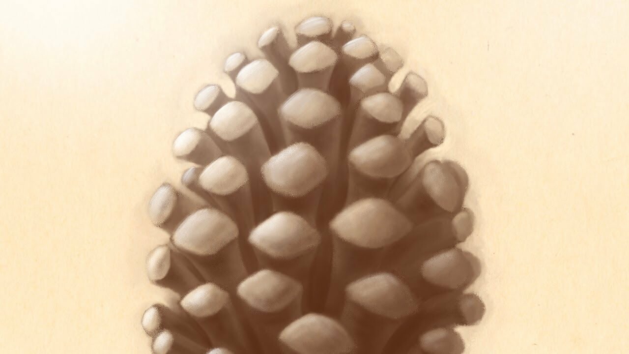 ArtStation - Speedpaint of a Pinecone