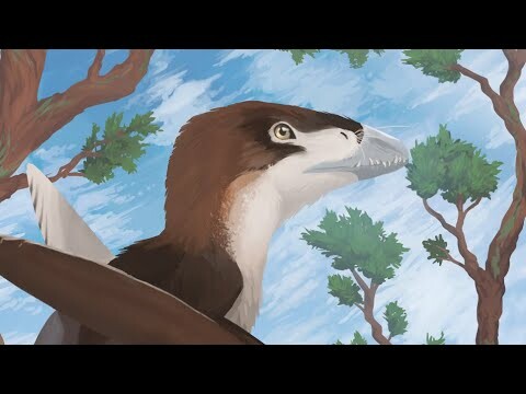 ArtStation - Dimorphodon