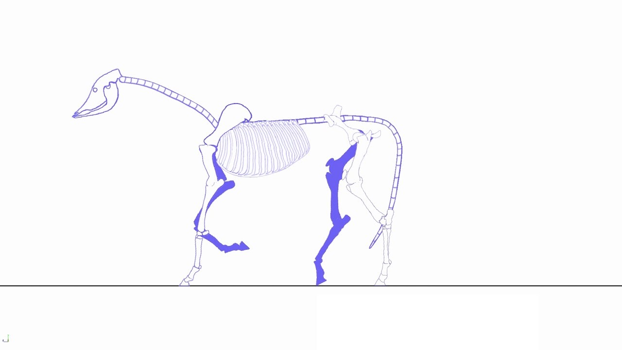 ArtStation - Creature Walk Cycle