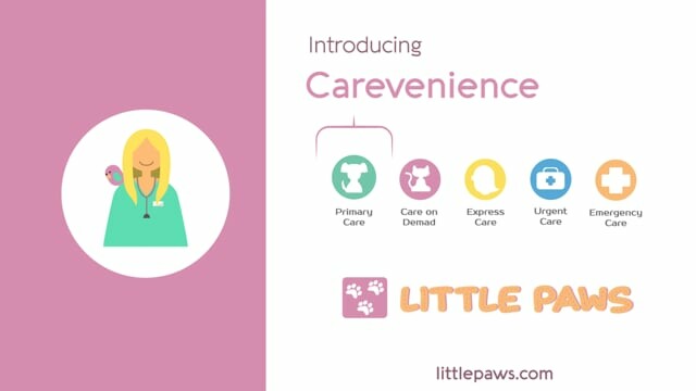 ArtStation - Little Paws Animation