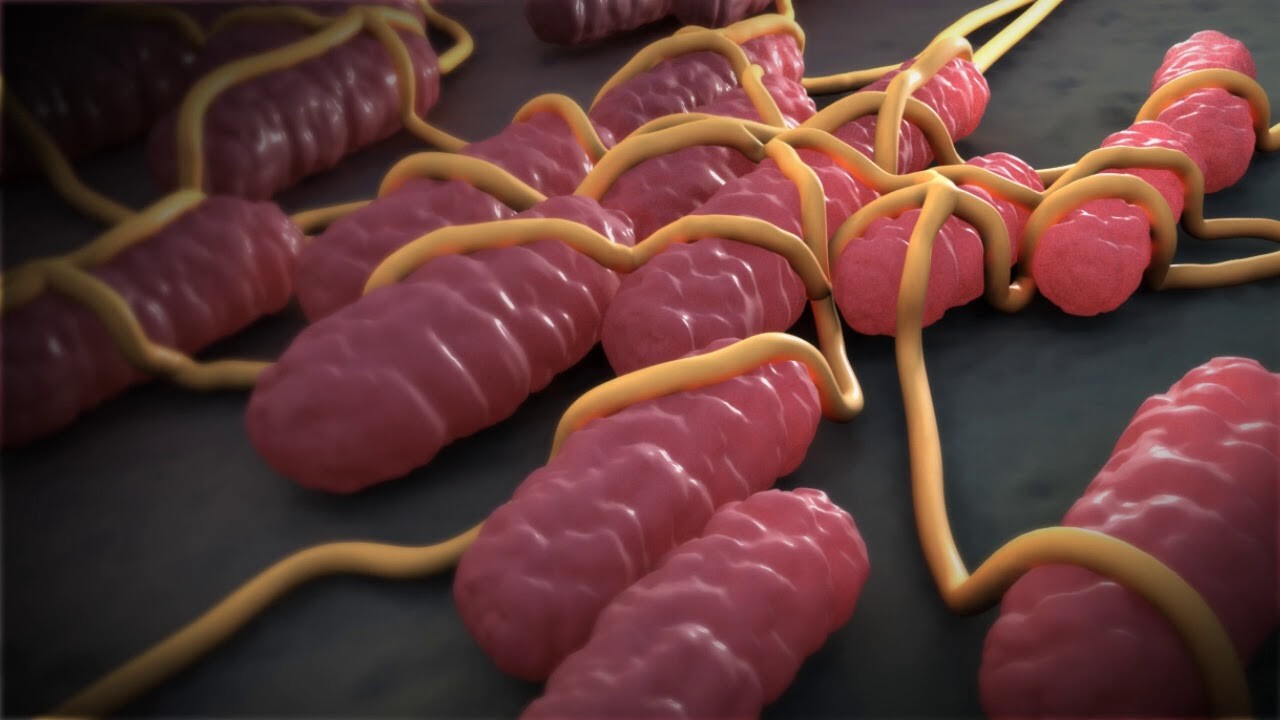 ArtStation - Medical animation using maya deformers