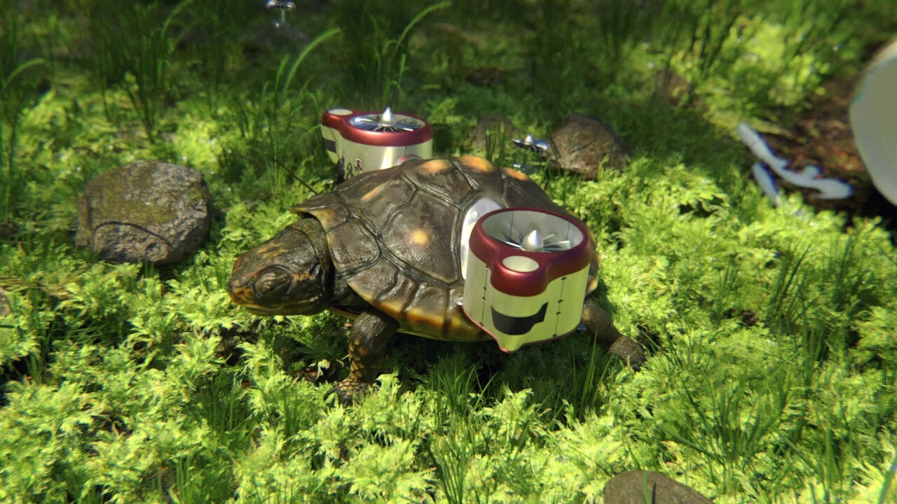 ArtStation - Baby rocket turtle