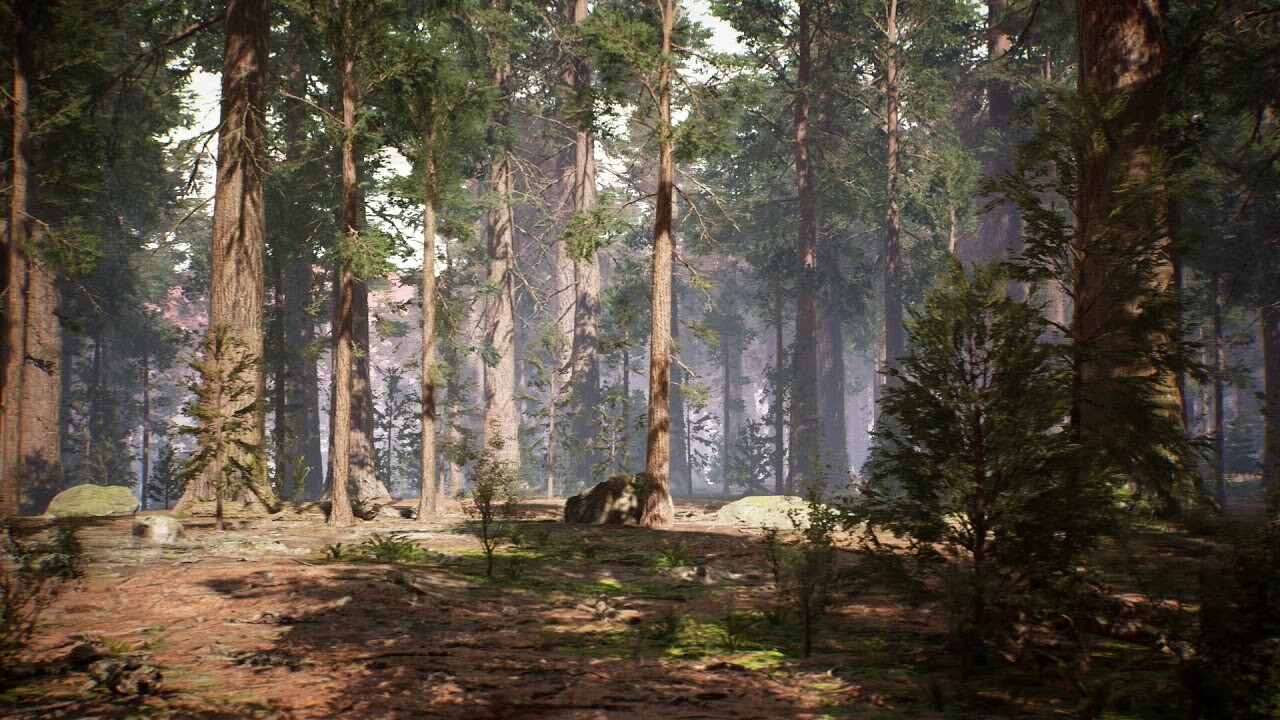 ArtStation - forest rendering