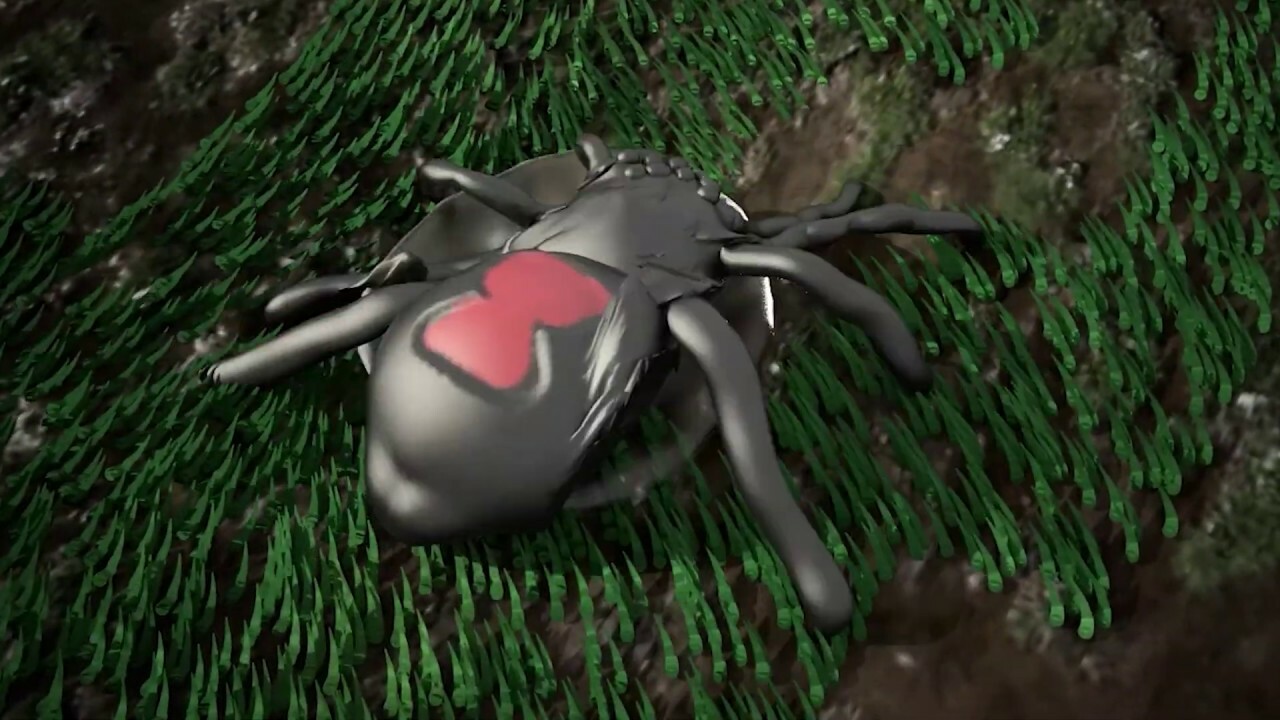 ArtStation - ITSY bITSY SPIDER