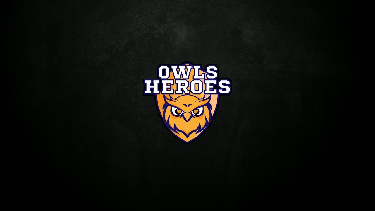 ArtStation - OWLS HEROES