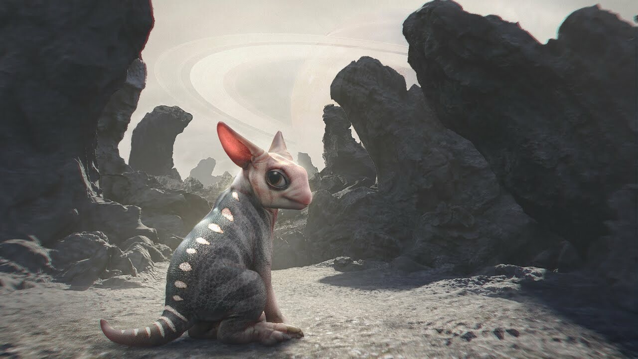 ArtStation - SURVIVAL (animation)