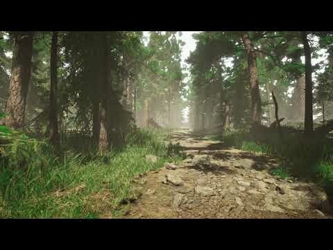 ArtStation - Forest (Level Design)