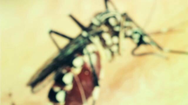 ArtStation - Bite Back