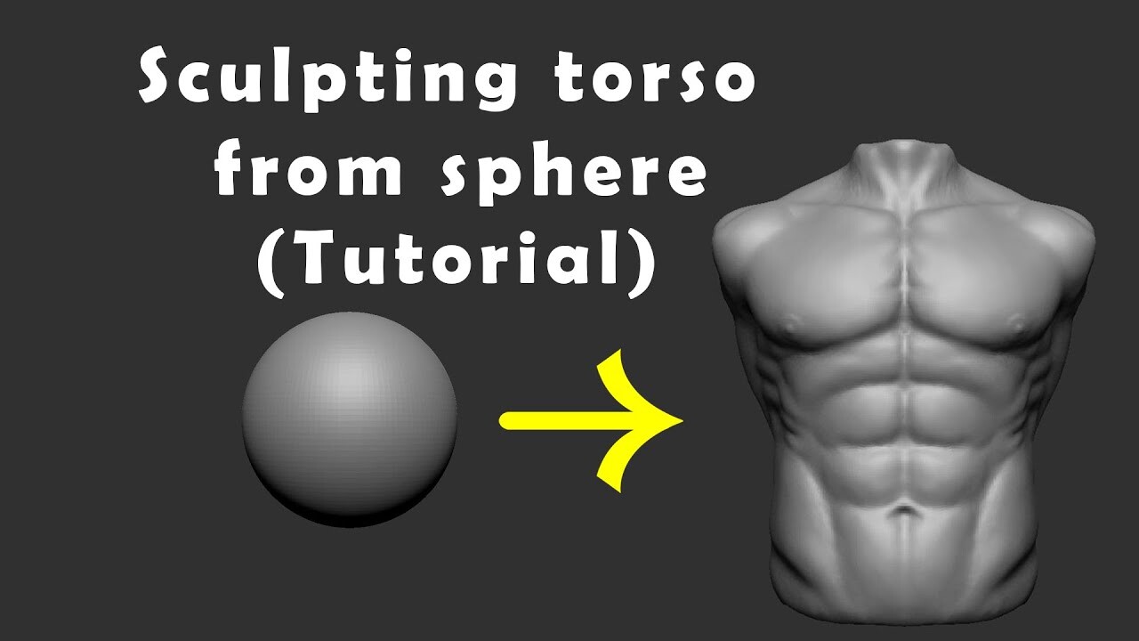 ArtStation - Sculpting a male torso (Speed Sculpt)