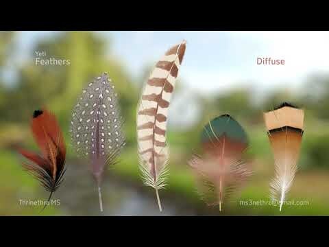 ArtStation - Yeti Feathers | Texture Coords | Maya nHair