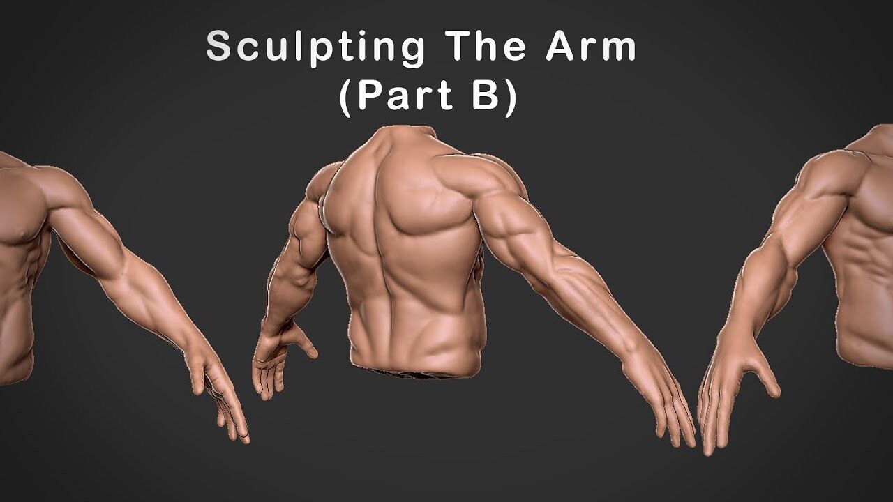 ArtStation - Sculpting The Arm (Part - B)