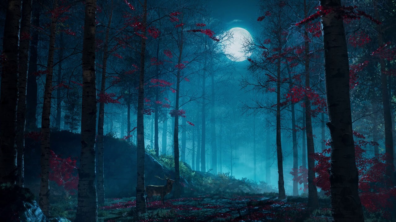 ArtStation - UE4 forest night lighting