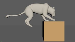 ArtStation - Cat jumping on a box.