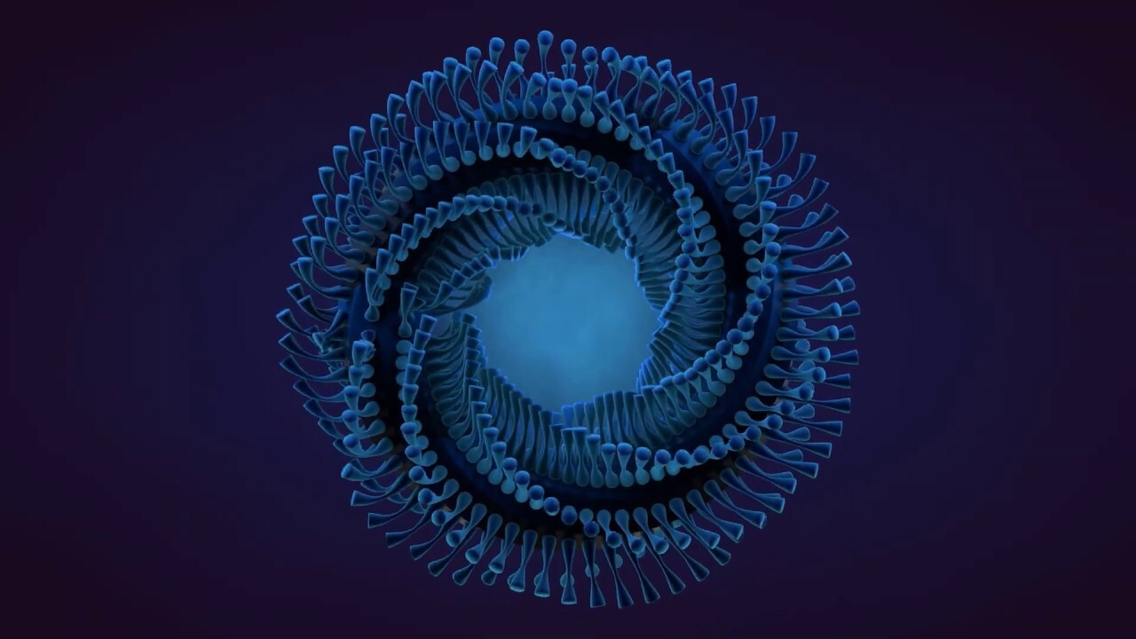 ArtStation - Abstract Animation