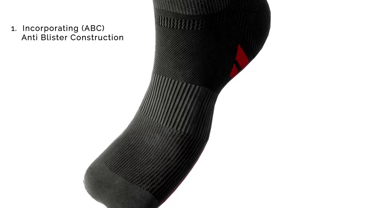 ArtStation - Socks Animation