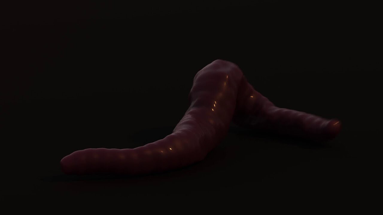 ArtStation - Worm