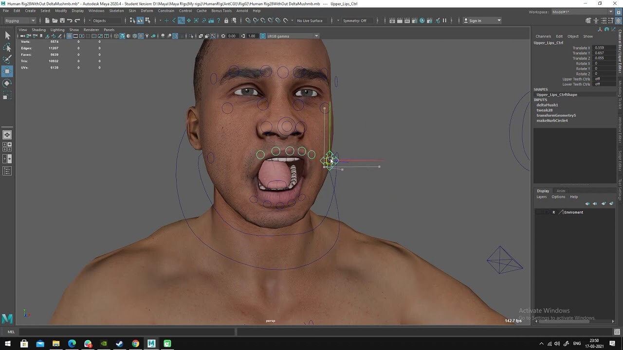 ArtStation - The Human Rig