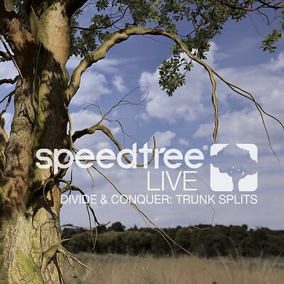 Sarah Scruggs - Portfolio