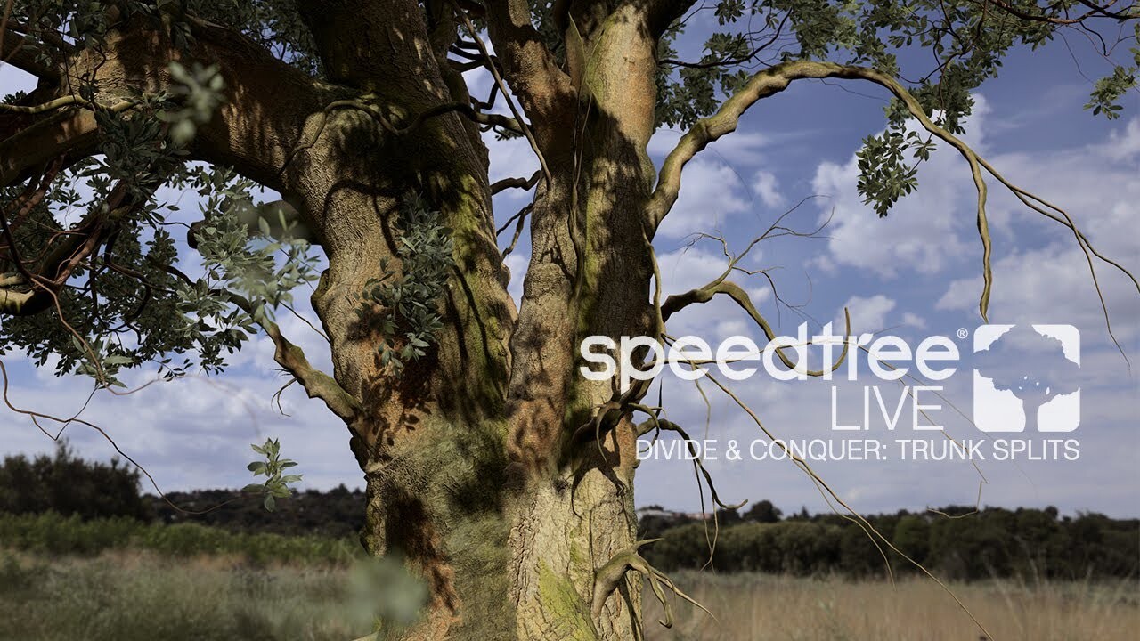 ArtStation - SpeedTree Live: Divide and Conquer (trunk splits!)