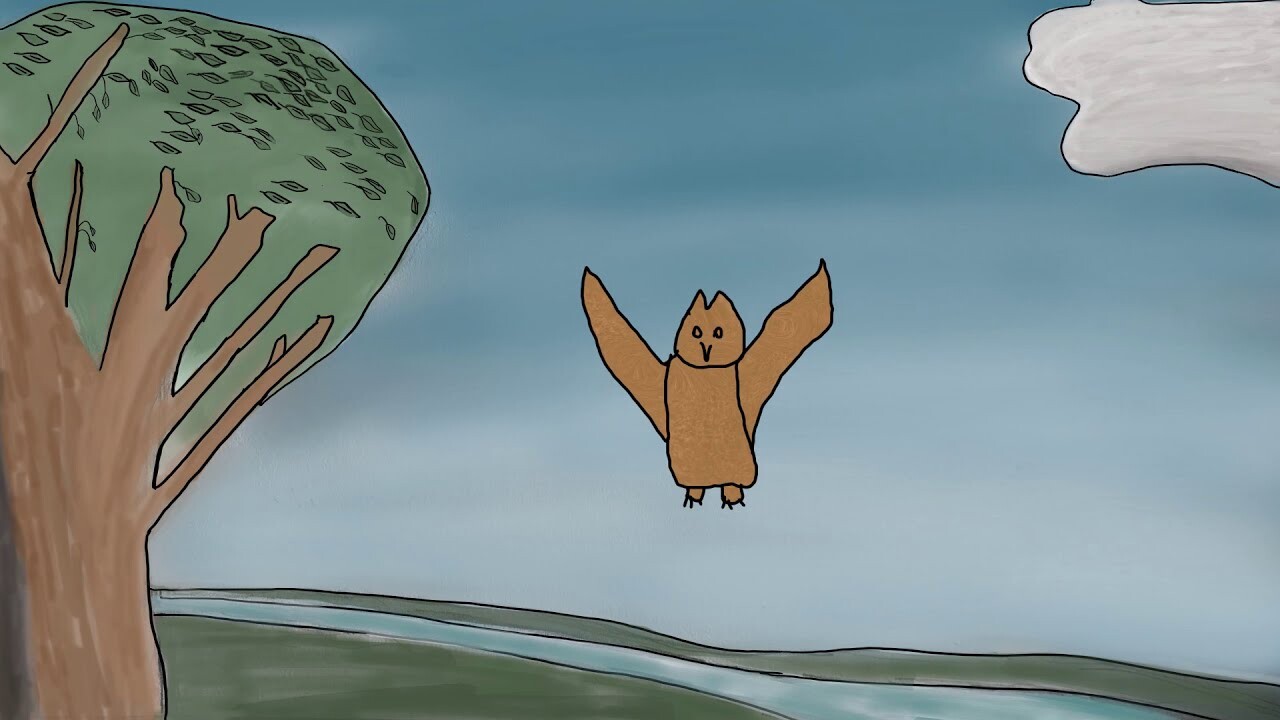 ArtStation - Owl animation