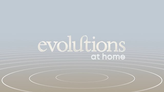 ArtStation - Evolutions At Home