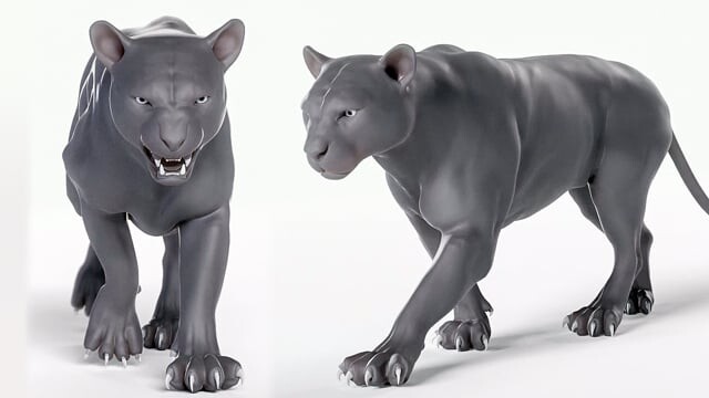 Mitchell Hardy - ZIVA Leopard Muscle Simulation