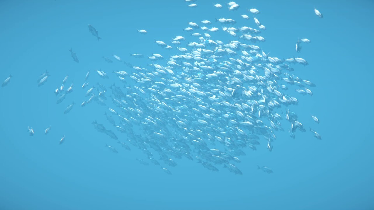 ArtStation - Fish swarm setup wip
