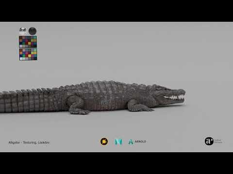 ArtStation - Alligator Texturing and Lookdev