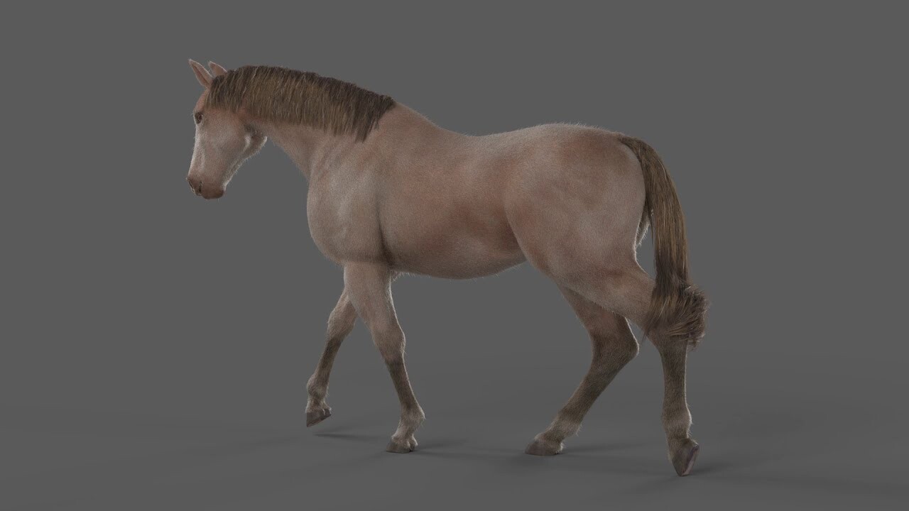 ArtStation - Horse animation