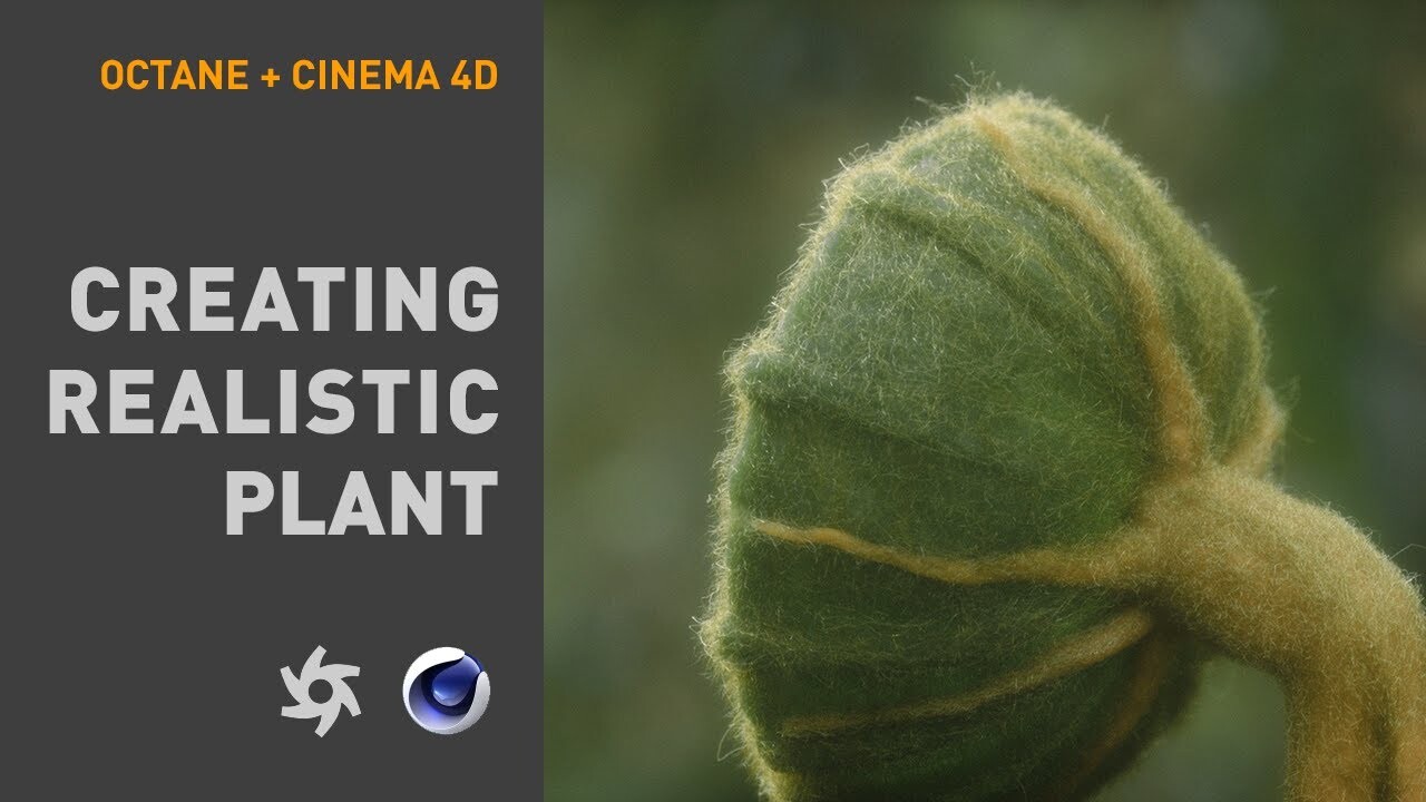 ArtStation - Creating realistic plant with Octane + Cinema 4D