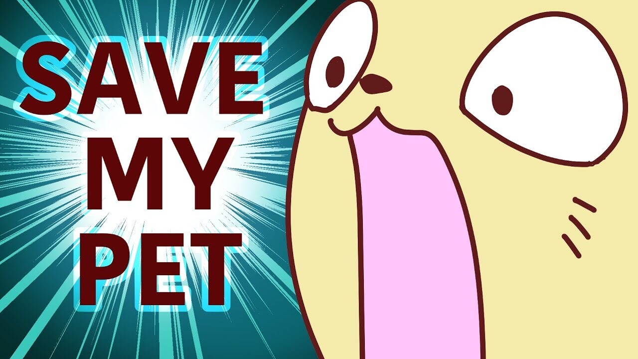 ArtStation - Save My Pet [Animation]