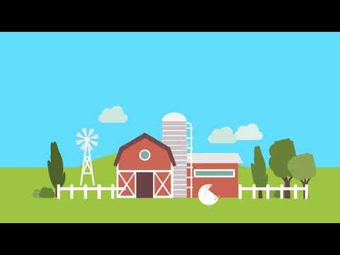 ArtStation - Animated Farm