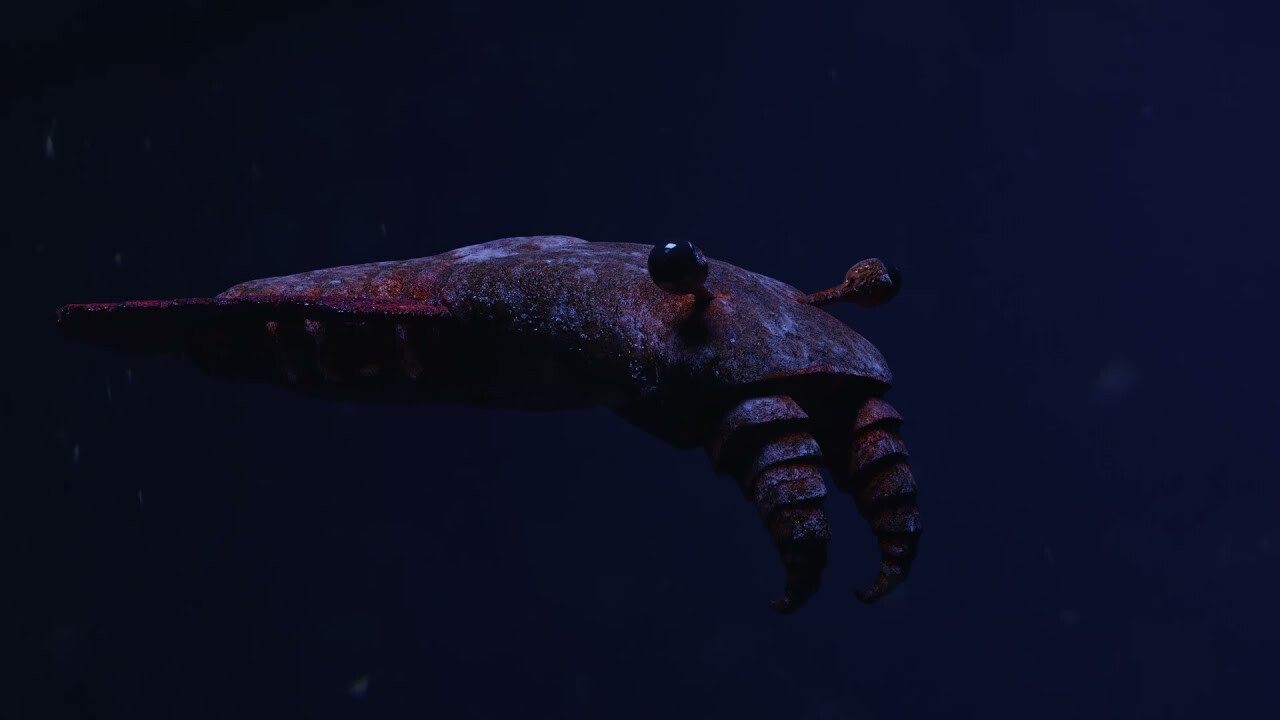 ArtStation - Anomalocaris 3D Model