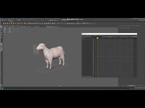 ArtStation - Creature_Rig_03_Sheep