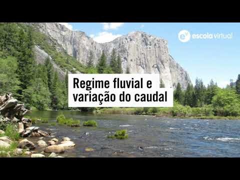 Patrícia Faria _ AltTabMt - Video for Porto Editora