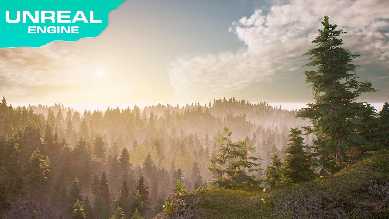 ArtStation - Unreal Engine - Forest Creation / Time Lapse