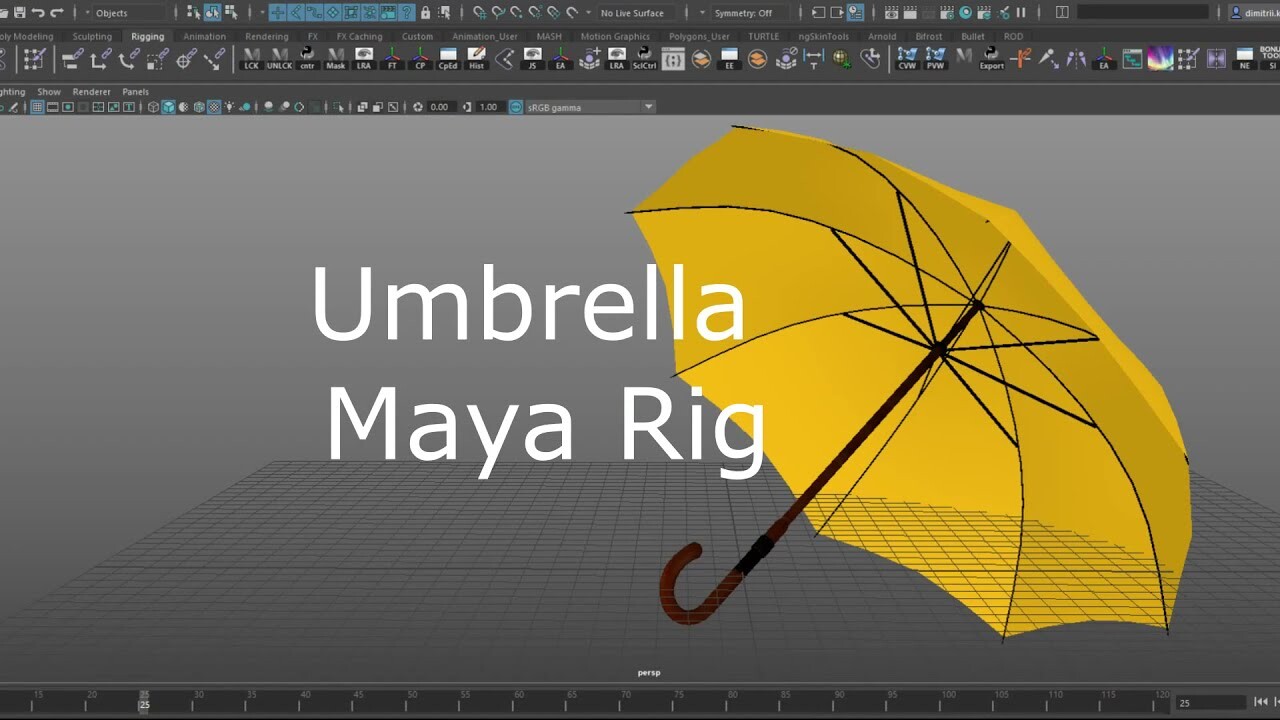 ArtStation - Umbrella Maya Rig