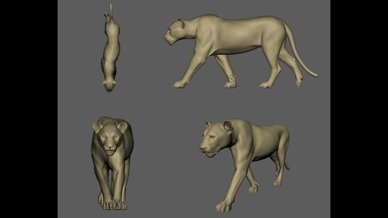 ArtStation - Lion Walk Cycle for the Academy@The Focus