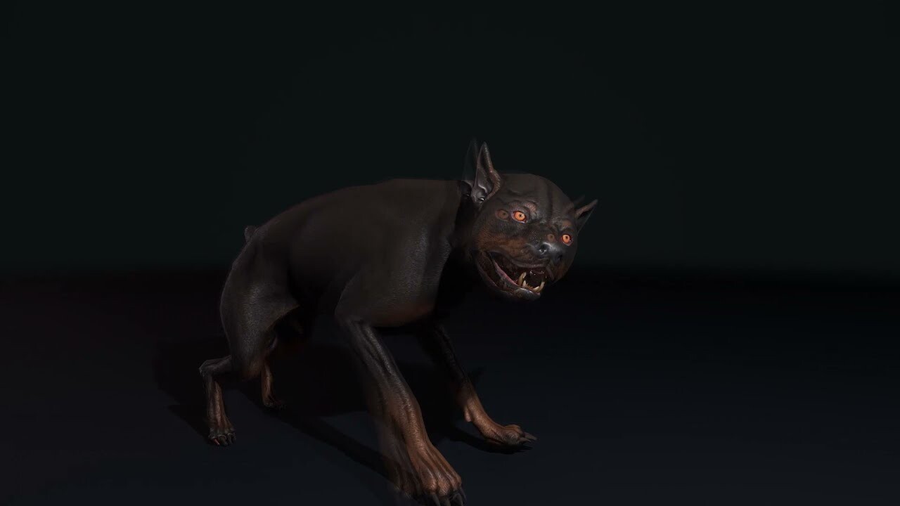 ArtStation - Dog Animation and Rig