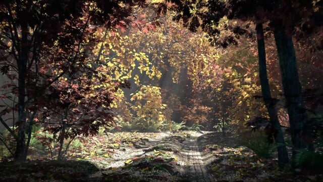 ArtStation - CG Forest