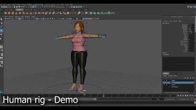 ArtStation - Human Rig