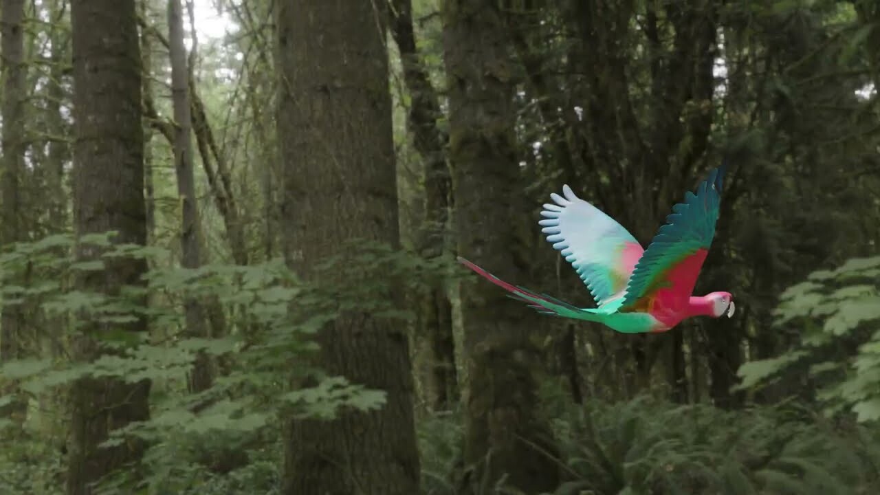 ArtStation - 3D animation of a bird's flight