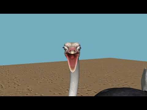 ArtStation - Ostrich Walk to Run Animation