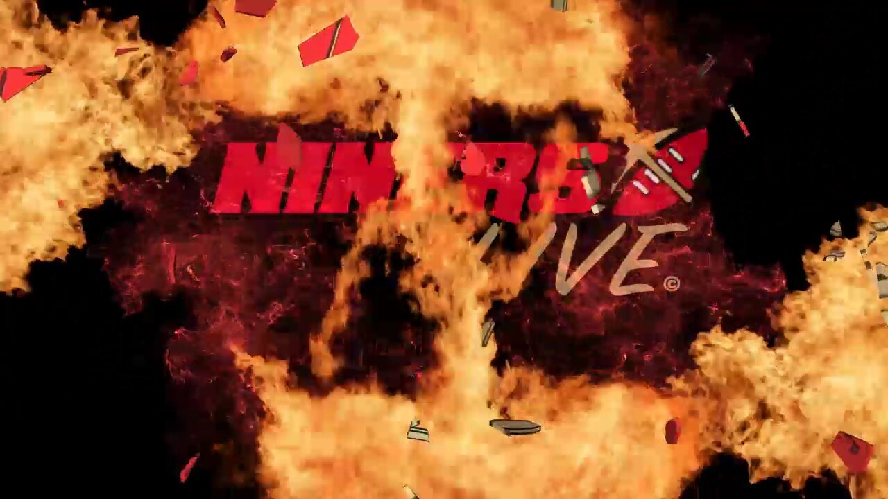 ArtStation - Niners live.net logo animation