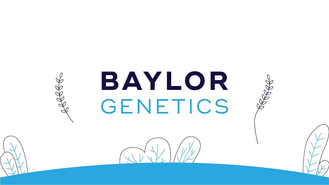 ArtStation - Baylor Genetics