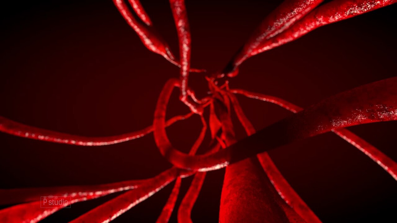 ArtStation - Houdini Blood Vessels 3D Animation