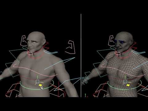 ArtStation - Human Character Rig