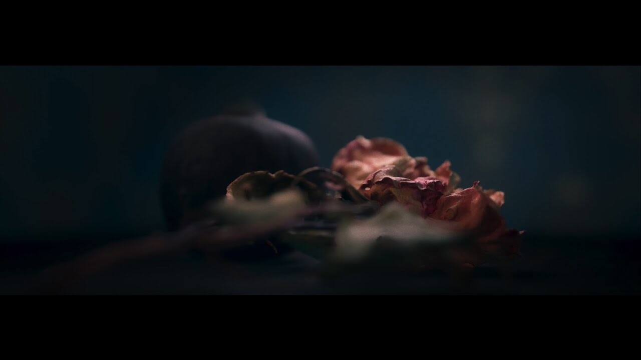 ArtStation - Macro Rose