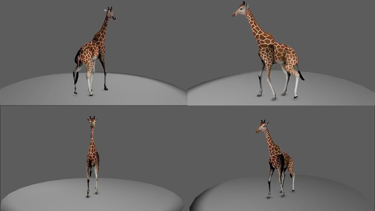 ArtStation - Giraffe Walk Cycle