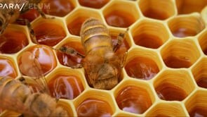 Kevin Kenney - Demo reel 2022